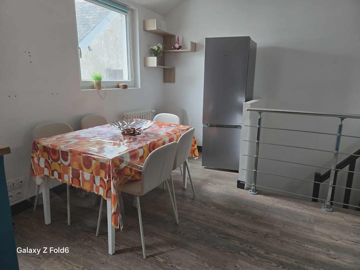 Duplex T3 6 Pers Entre Gare Et Château D’angers - Angers