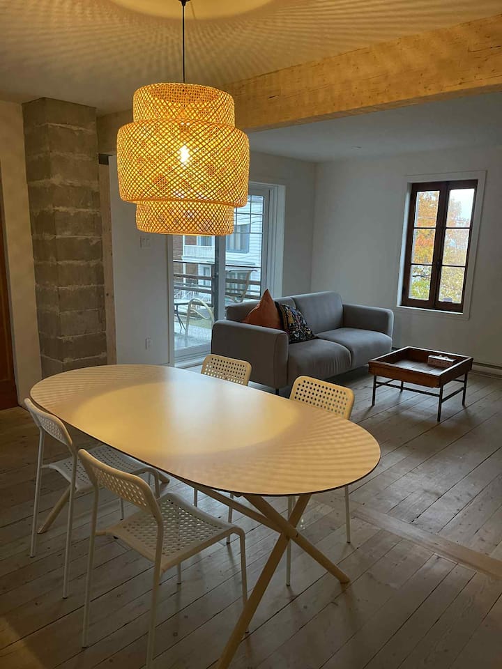 Chaleureux Et Spacieux Appartement Vieux-lévis - Levis