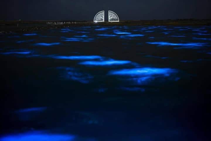 獨棟港景房藍眼淚只要五分鐘車程青鯤鯓扇形鹽田 - Kaohsiung City