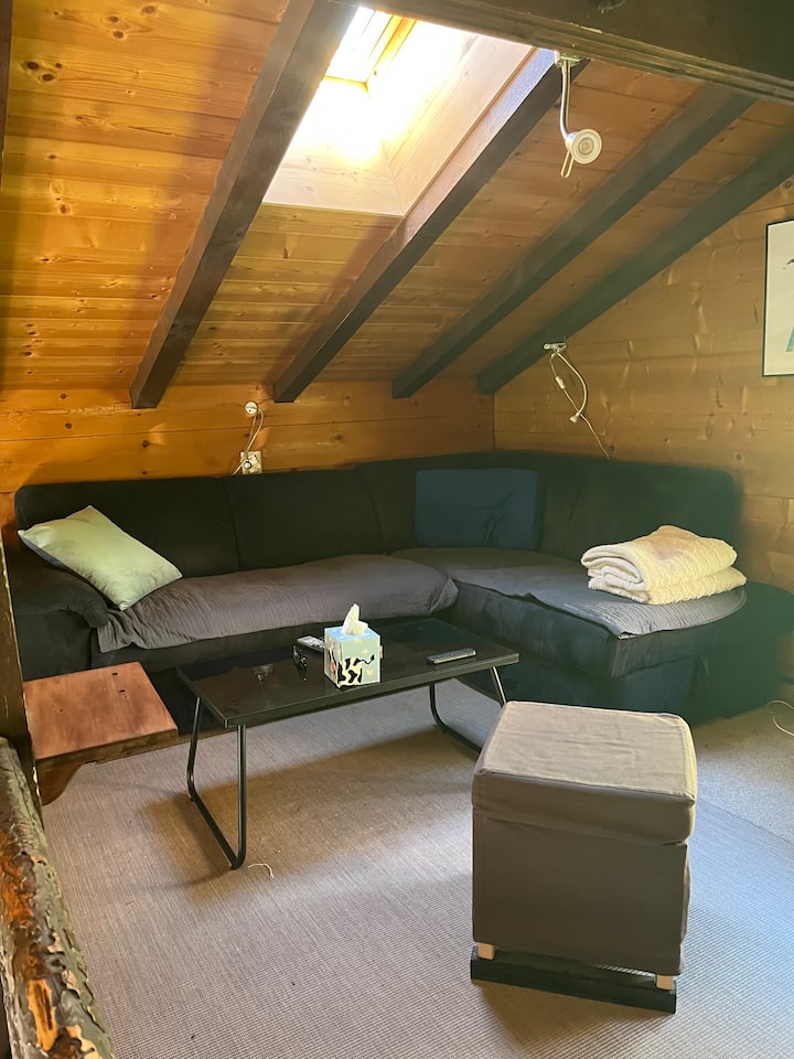 Chalet Avec Beaucoup De Cachet - Zinal