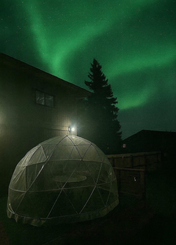 Stylish 2br Apt Near Airport Plus Outdoor Igloo - Anchorage, AK