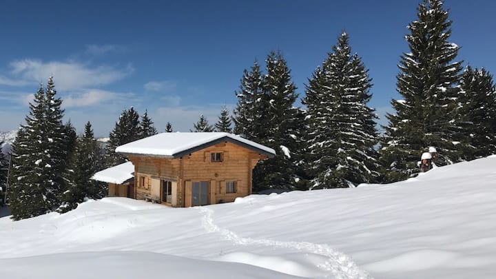 Magnifique Chalet 16 Personnes - Grenoble