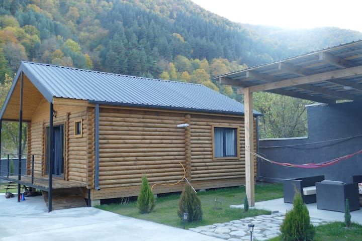 Cozy, Quiet Environment, Ideal For Families, - Georgia