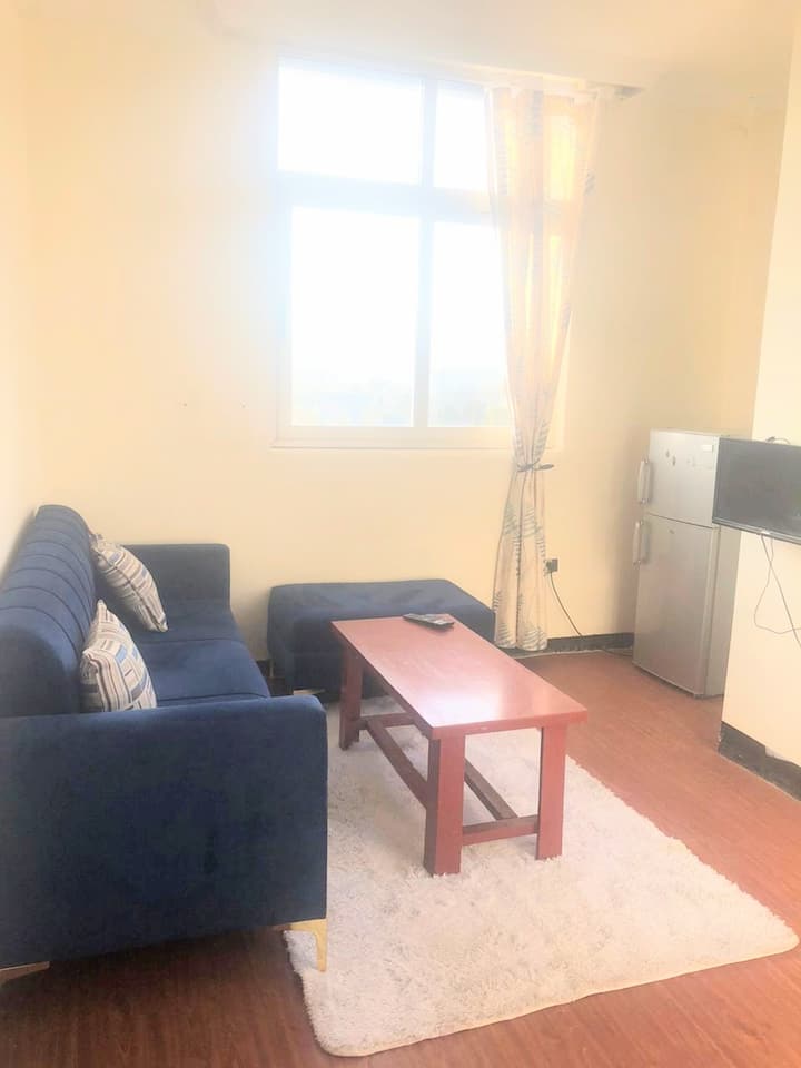 One Bedroom Apartment For Rent In Addis Ababa - Addis Abeba