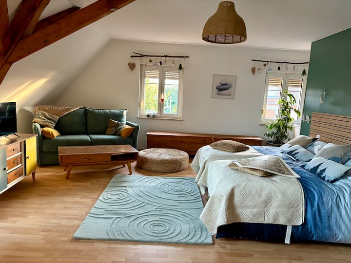 Gîte Le Nid Entre Vosges Et Vignes - Thann