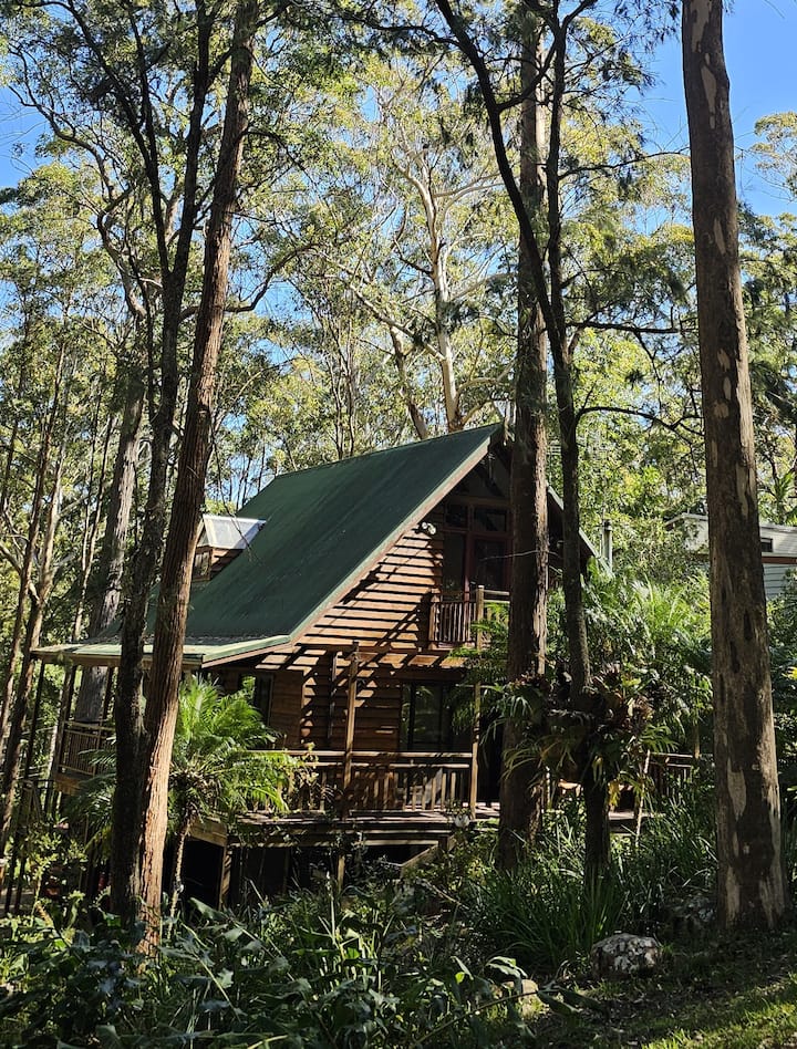 Smiths Treehouse - Myall Lake, New South Wales