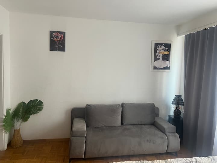 Bonjour Disponible Quartier Des Eau-vives - Genève