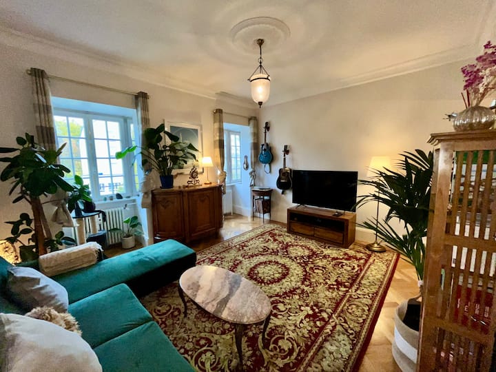 Appartement Bourgeois à Deux Pas Du Centre - Robertsau