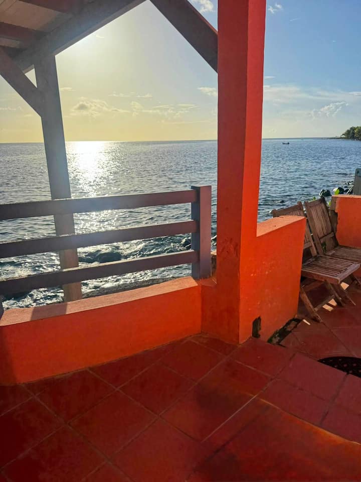 Nid Côtier Avec Vue Mer - Le Prêcheur