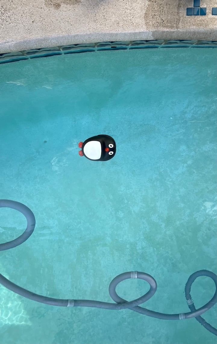 Boutique Hotel Across From Cocoa Beach, Pool - Cocoa Beach, FL