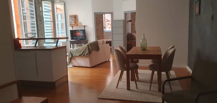 Appartement Pont Vieux - Albi