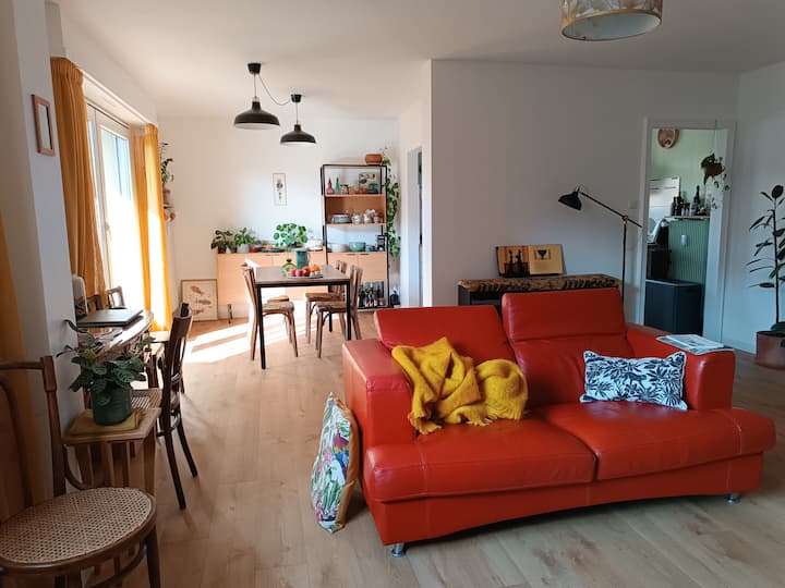 Appartement Lumineux Et Calme - Strasbourg