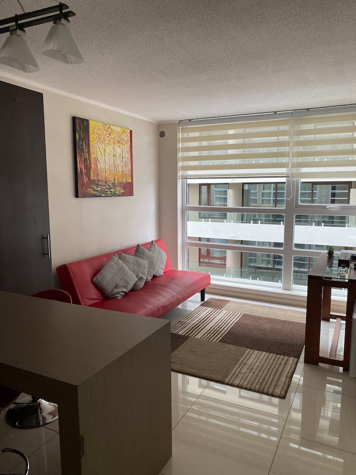 Depto. A Pasos Del Hospital Y Av. Alemanía - Temuco