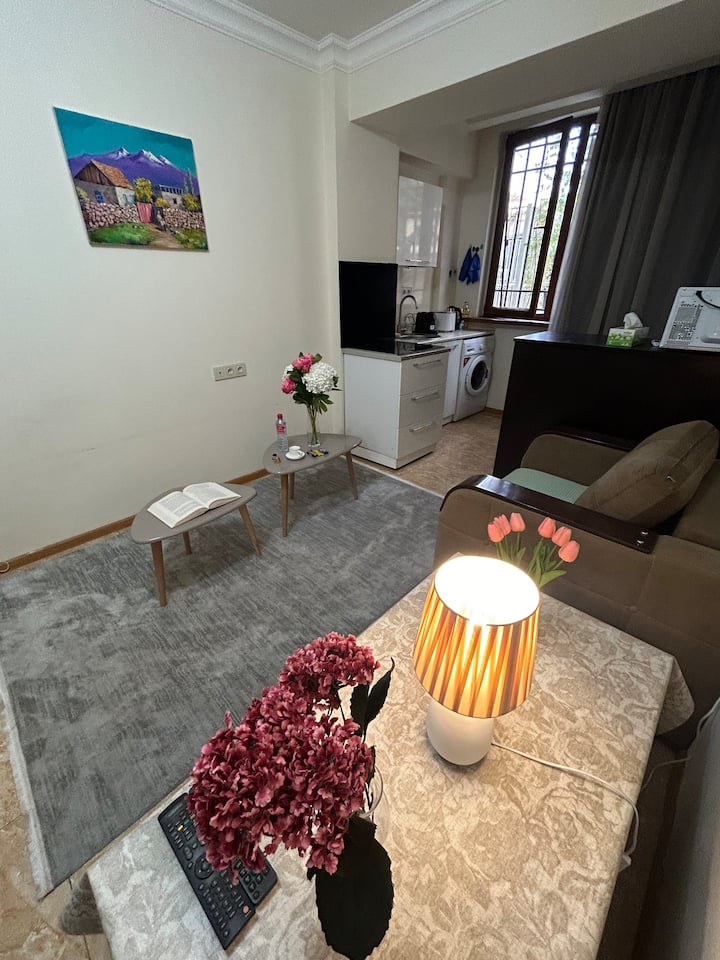 Cozy Apartment In The Heart Of Yerevan - Yerevan