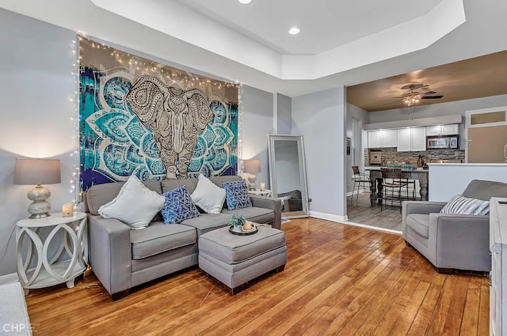 Lux *Home Mins To *Insight Hospital* *Downtown*zoo - New City - Chicago