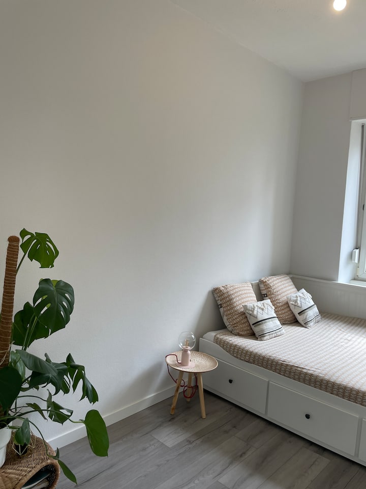 Chambre Lumineuse - Proche Centre Strasbourg - Strasbourg