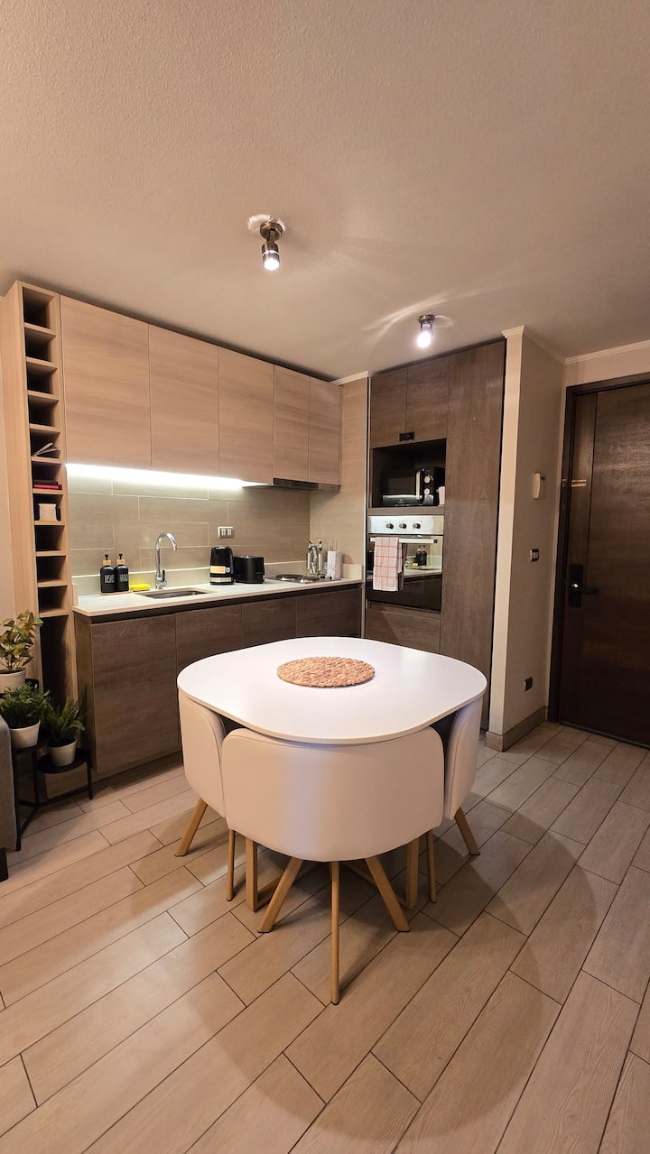 Tu Espacio Ideal En El Corazón De Santiago - Chile