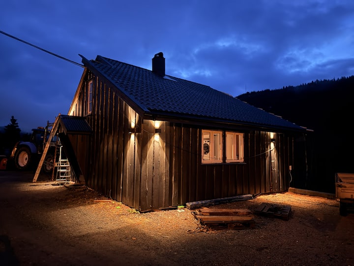 Rolig Enebolig I Haukeli, Moderne Og Hjemmekoselig - Haukeli