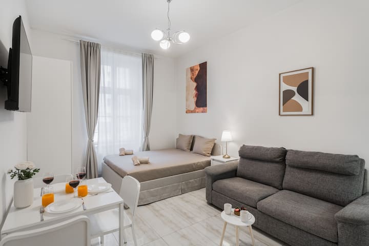 Cozy Studio | Náměstí Míru | Old Town 10 Mins - Praga