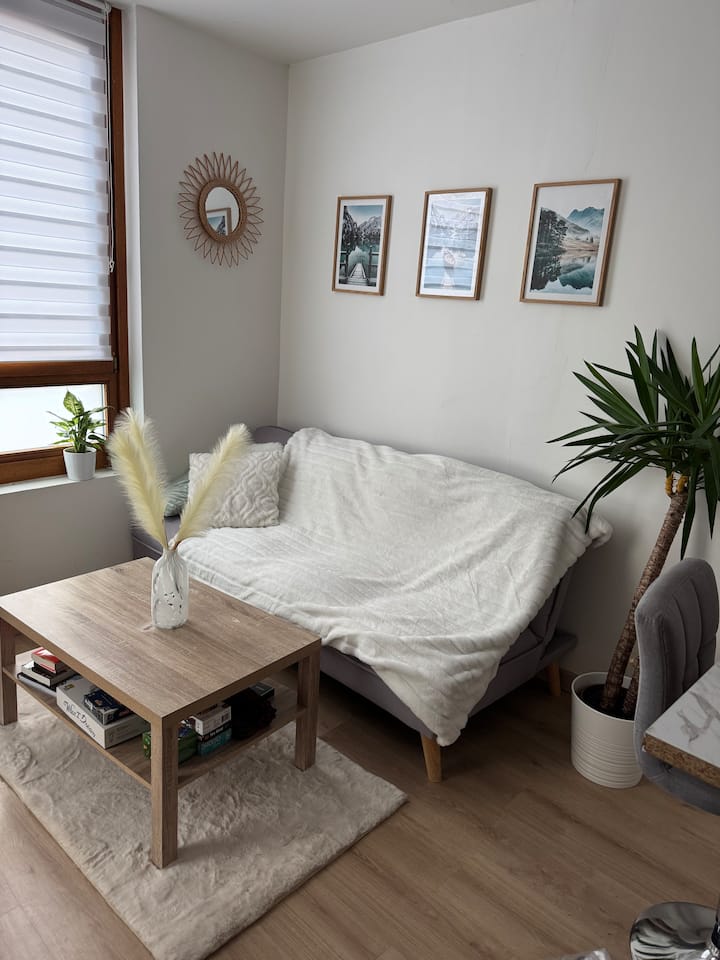 Appartement Cocooning Au Coeur D'albertville - Albertville
