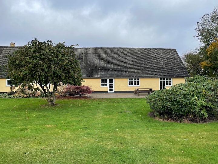 Hus I Det Grønne Med 7000 Kvm Indhegnet Grund - Ribe