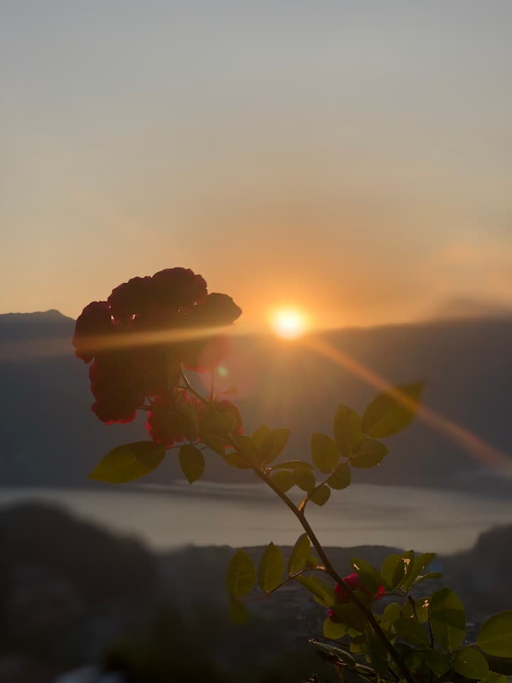 Forest Cabin - Pokhara