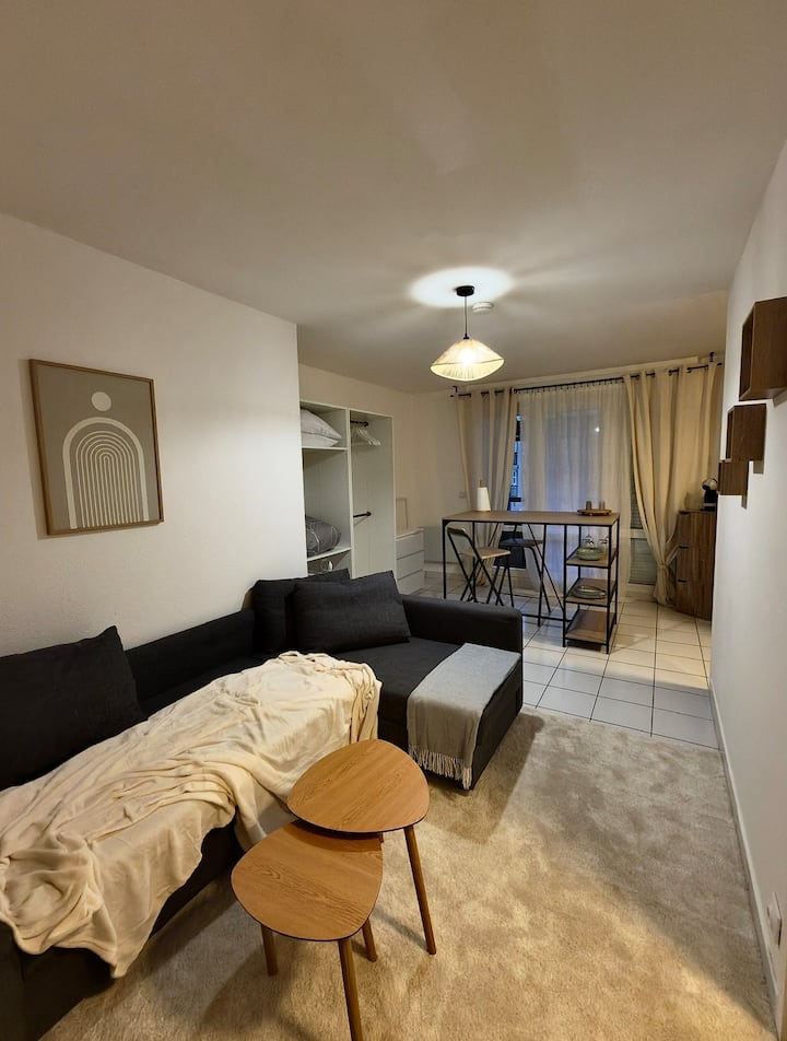 Studio 29 M2 à Viry-proche De Genève - Saint-Julien-en-Genevois