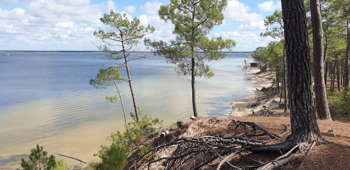 Appart Cosy Avec Piscine Entre Lac Et Océan - Carcans