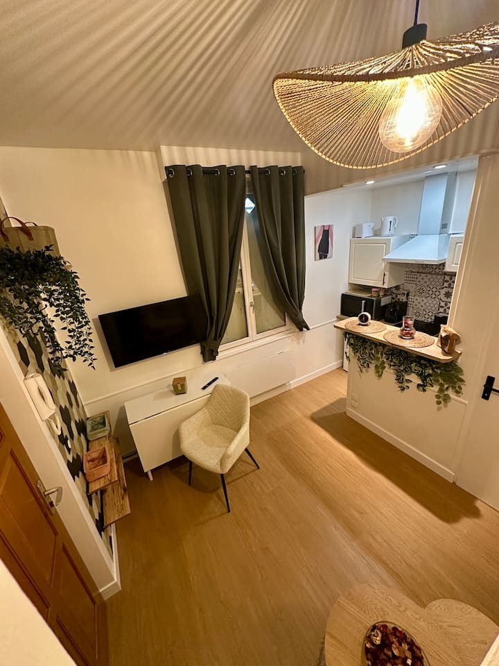 Bienvenue Au «Loft102»studio Chic Et Cocon à Rouen - Rouen