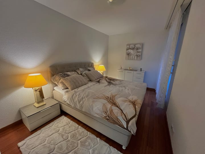 Luxueux Appartement De 6.5 Pièces En Centre-ville - Ginebra