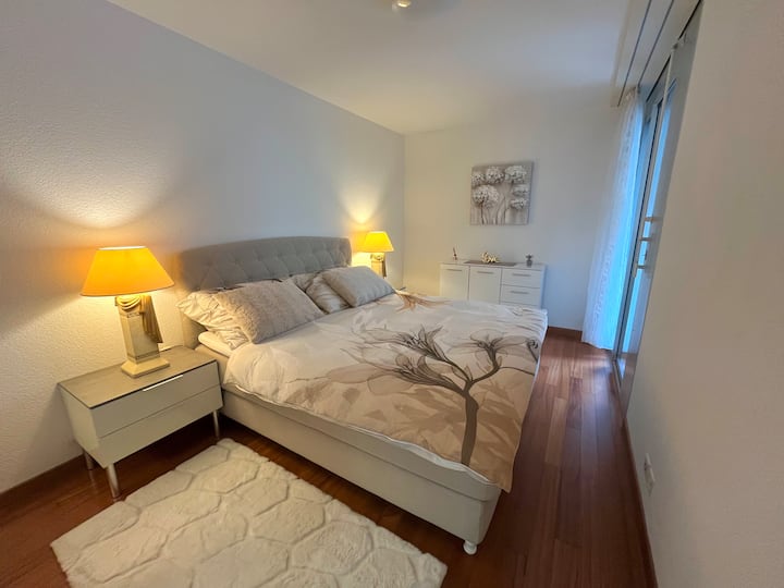 Luxueux Appartement De 6.5 Pièces En Centre-ville - Genève