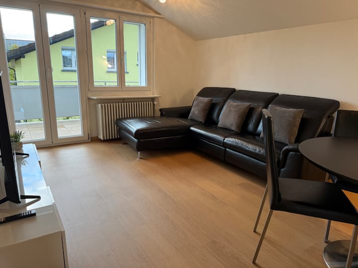 Cosy Swiss Retreat | Free Parking & Wi-fi - Aarau