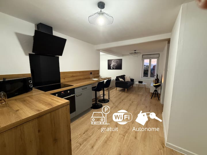 Appartement éQuipé - Wi-fi – Proche Centre-ville - Roanne