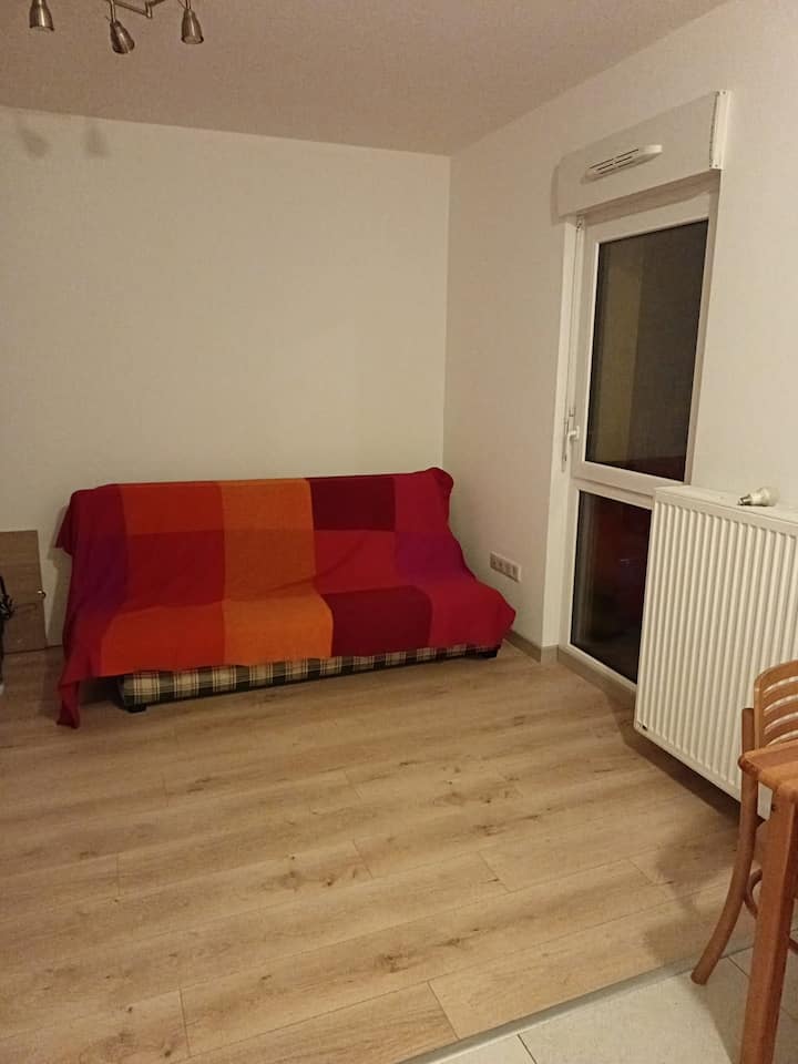 Studio Proche Centre Strasbourg - Hœnheim