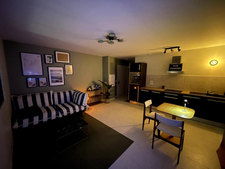 Lelynx Colmar Centre Au Coeur Des Marchés De Noël - Colmar