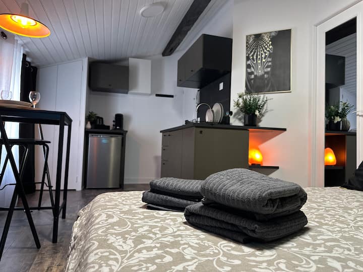 Chaleureux Studio Sous Les Toits - Poitiers