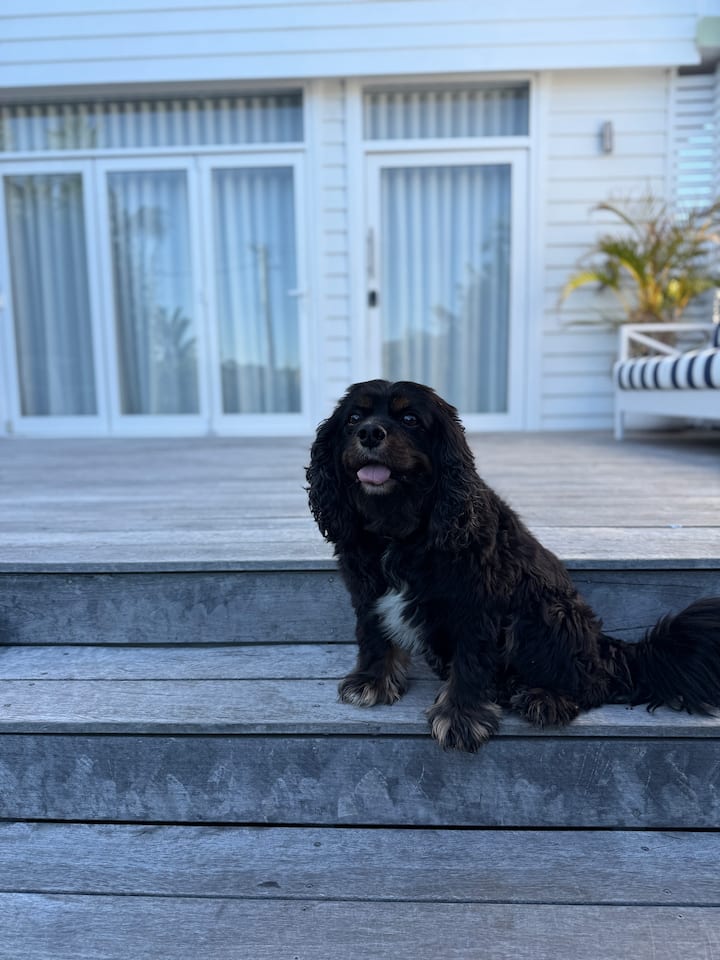 The Coastal A Frame - Wollongong