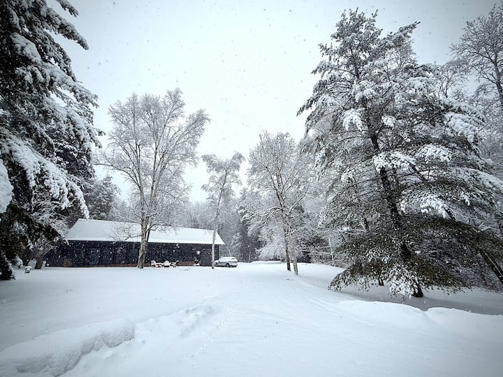 Birch View Studio - A Winter Woodland Spa Retreat - Brighton