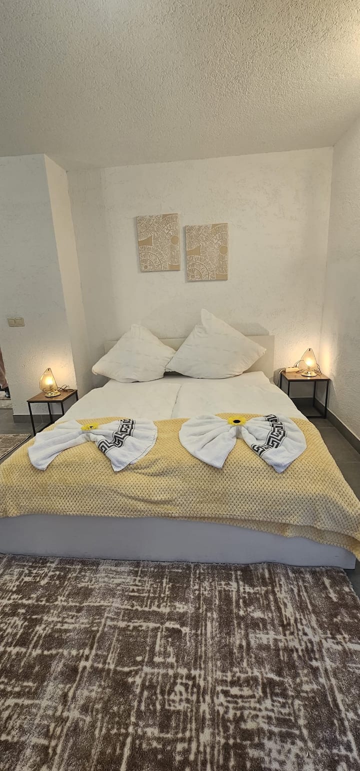 Ganze Ferienwohnung Mit Terasse - Dresden