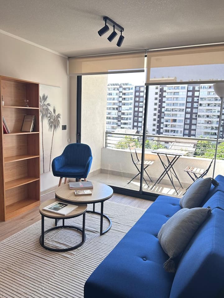 Recitales, Malls, Nieve Y Naturaleza Desde Nuñoa - Las Condes