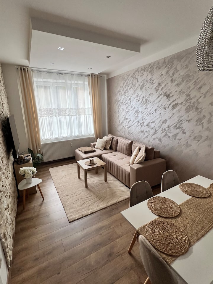 Moderní Apartmán V Blízkosti Centra ,Netflix,wifi - Hradec Králové