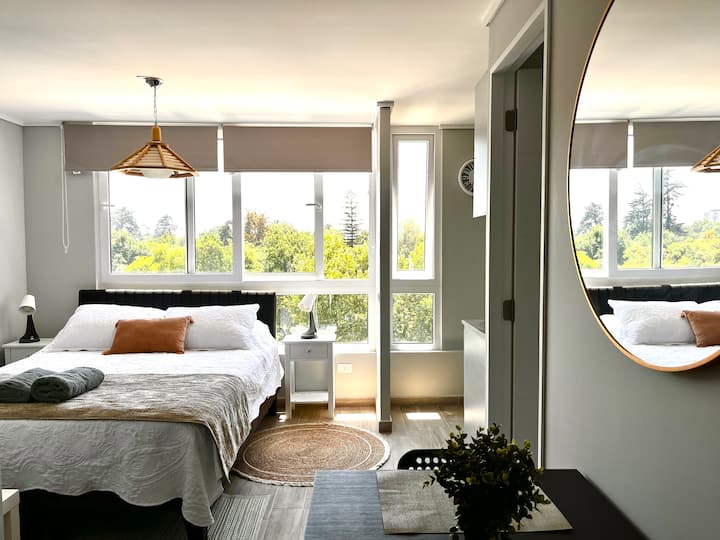 Depto. Cerca Movistar Arena/parque Ohiggins/ Metro - Santiago