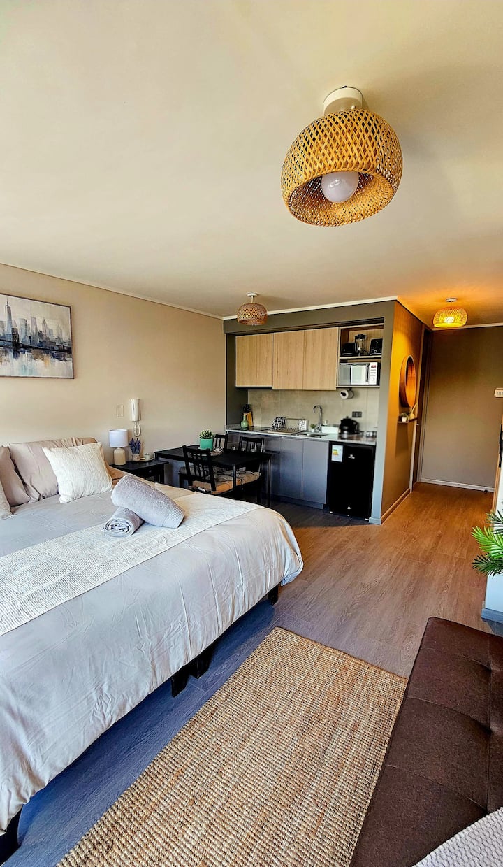 Acogedor Departamento Movistar Arena - Chile