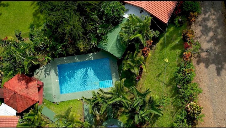 Especial Para Dormir Con El Sonido Del Bosque - Costa Rica
