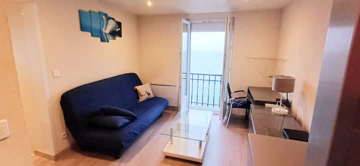 Panorama Lac & Montagnes - Lake Geneva