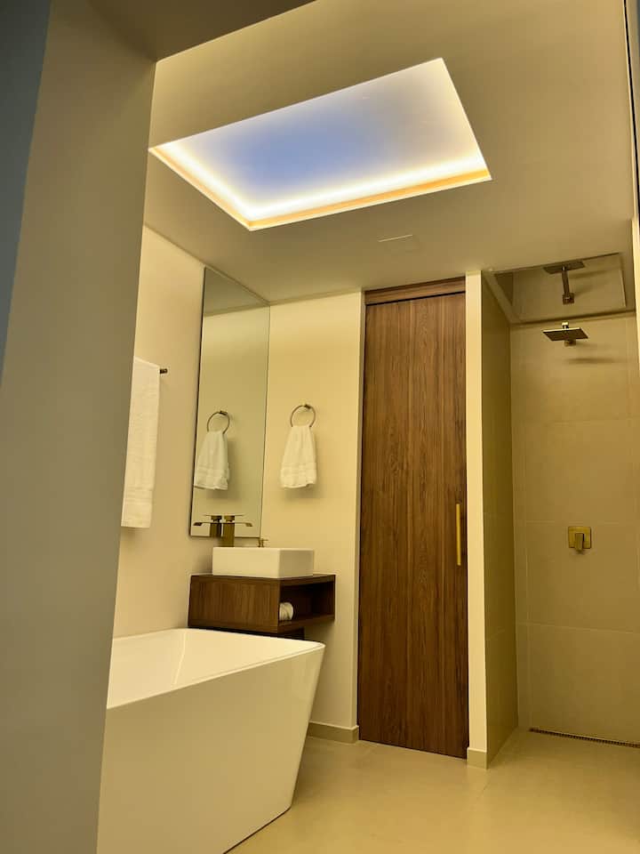 P103- Habitación Clasica - 메데인