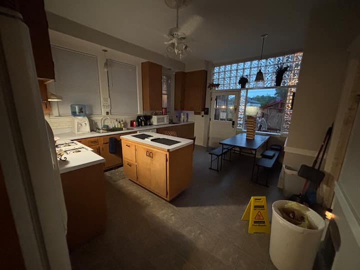 Cozy Bears & Carpe Diem Spa - Memphis, TN