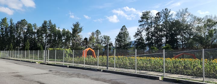 Awana Genting Golf Resort. Pets Friendly. 6 Beds - Genting Highlands