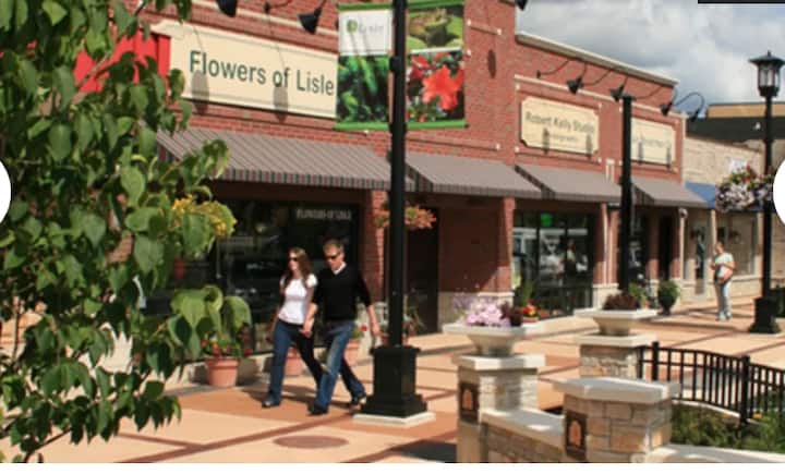 Apartment Minutes From Benedictine University - Downers Grove, IL