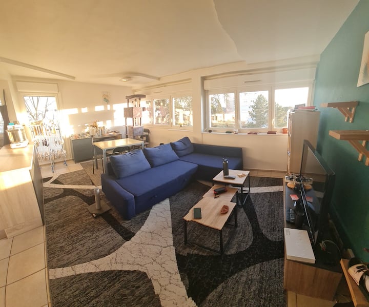 Chambre Avec Bureau - Vue Monts Du Lyonnais - Lyon